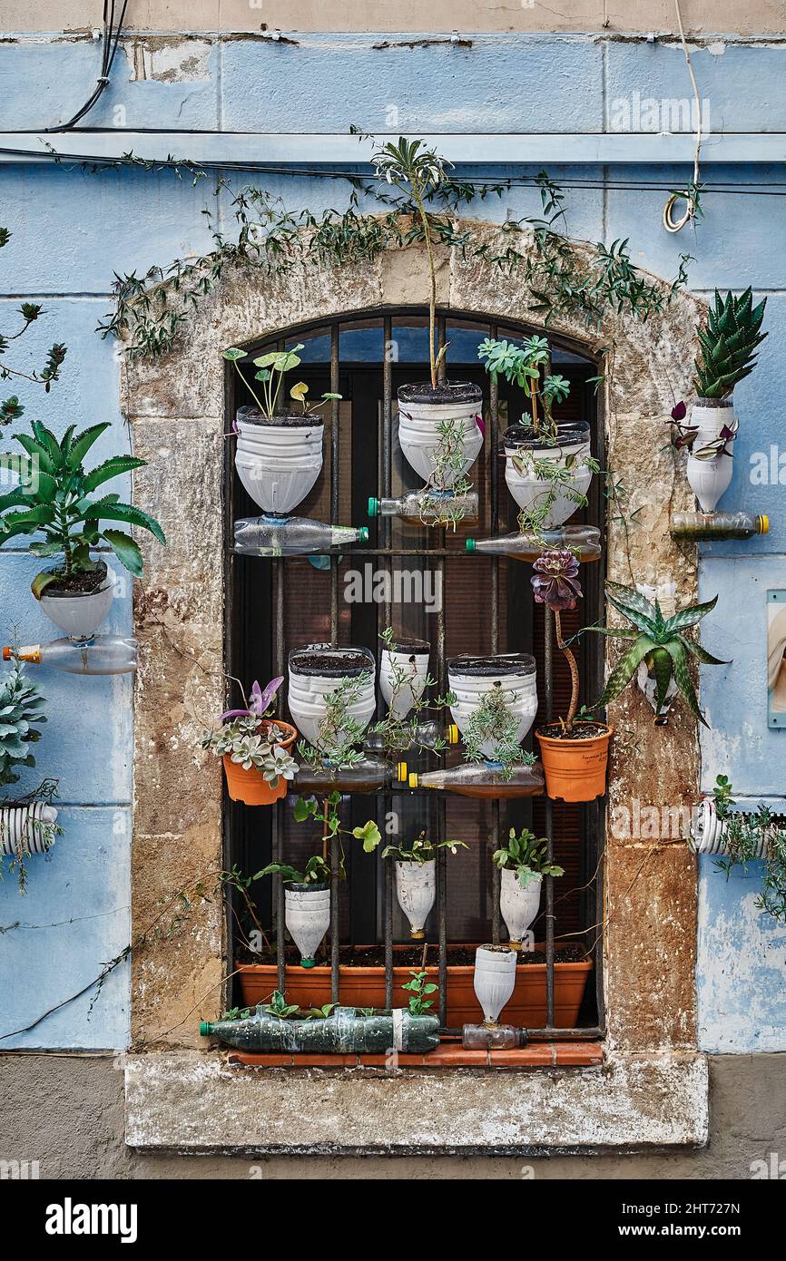View of plants growing in pots and bottles hanging on bars on a window ...