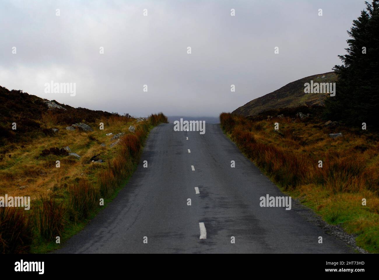 Roadway near ,Sally Gap, County Wicklow,Ireland Stock Photo - Alamy