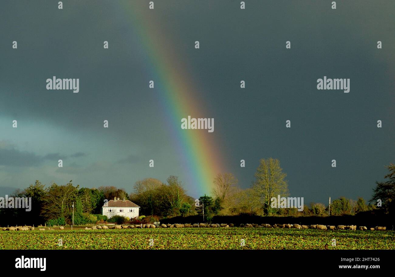 A rainbow , following a heavy rain fall over a farmhouse in County ...