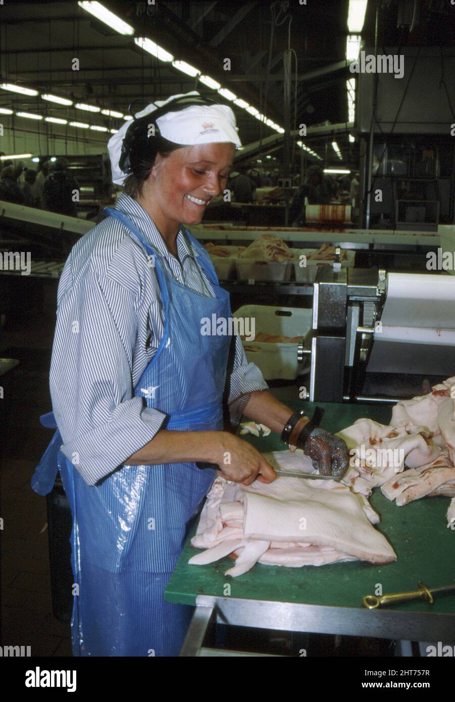 Grinsted /Denmark/ 14the May 1997 Danish crown slaoughter house in ...