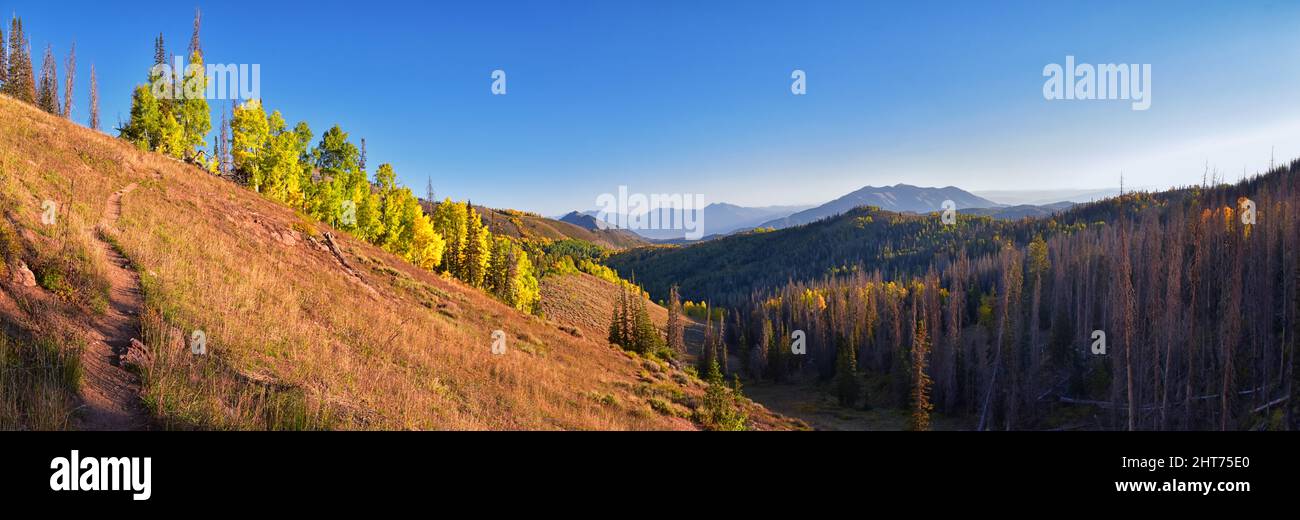 Mount Nebo Wilderness Peak, Views of hiking trail with peak of 11,933 ...