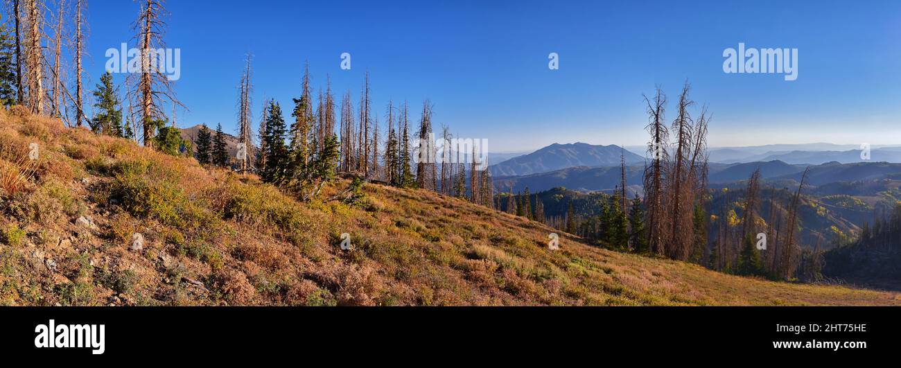 Mount Nebo Wilderness Peak, Views of hiking trail with peak of 11,933 ...