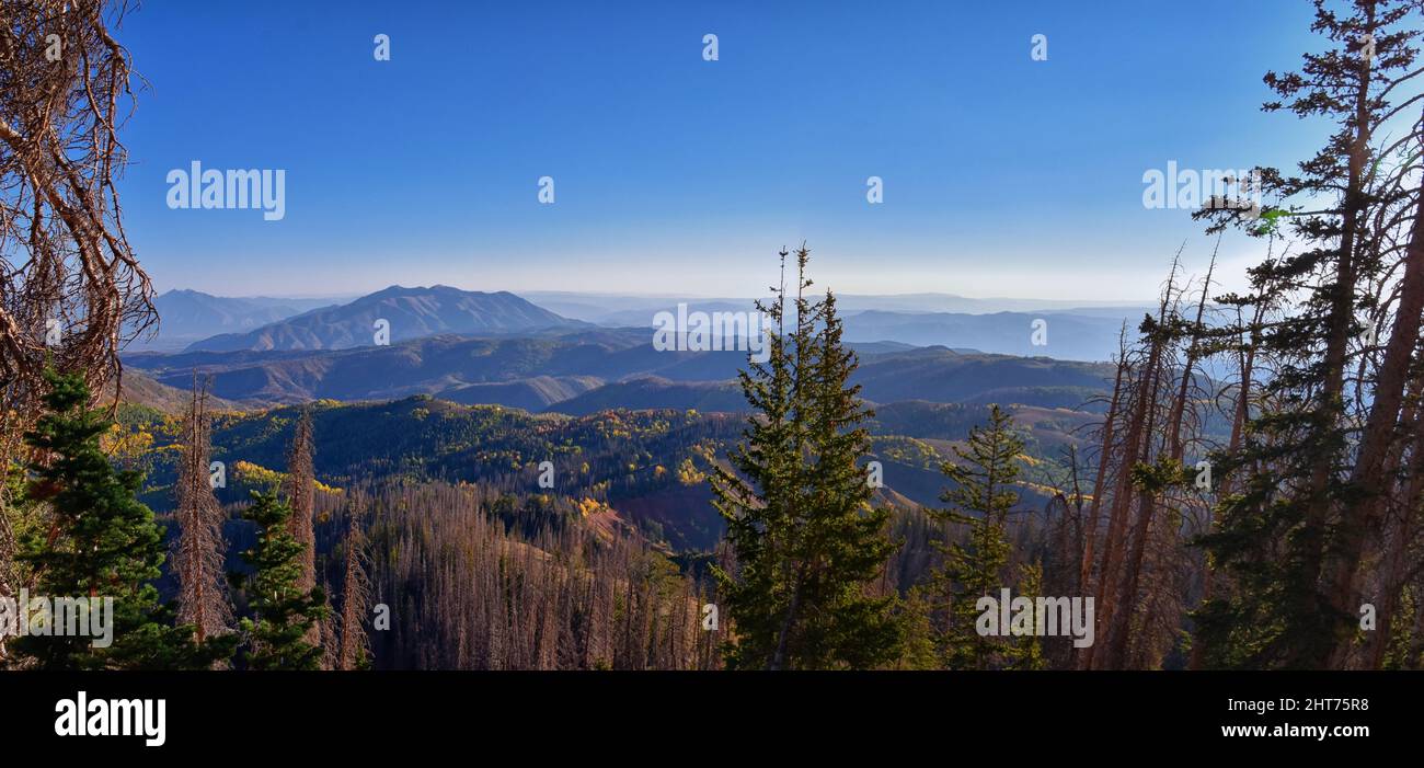 Mount Nebo Wilderness Peak, Views of hiking trail with peak of 11,933 ...