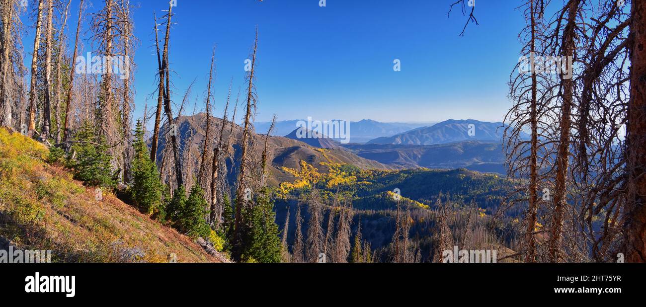 Mount Nebo Wilderness Peak, Views of hiking trail with peak of 11,933 ...