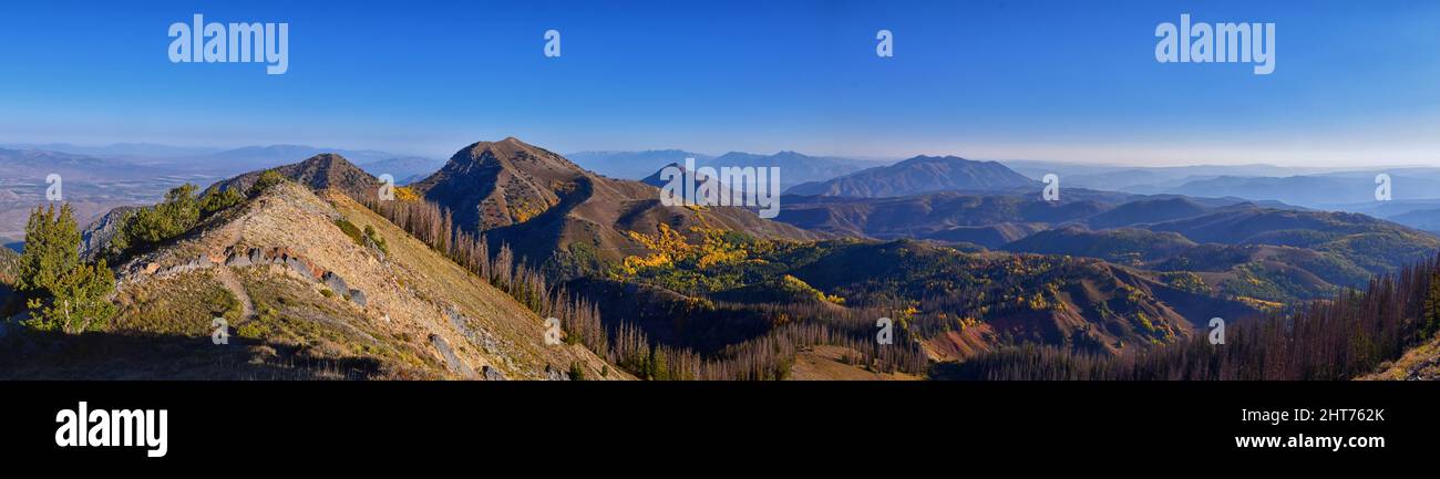 Mount Nebo Wilderness Peak, Views of hiking trail with peak of 11,933 ...