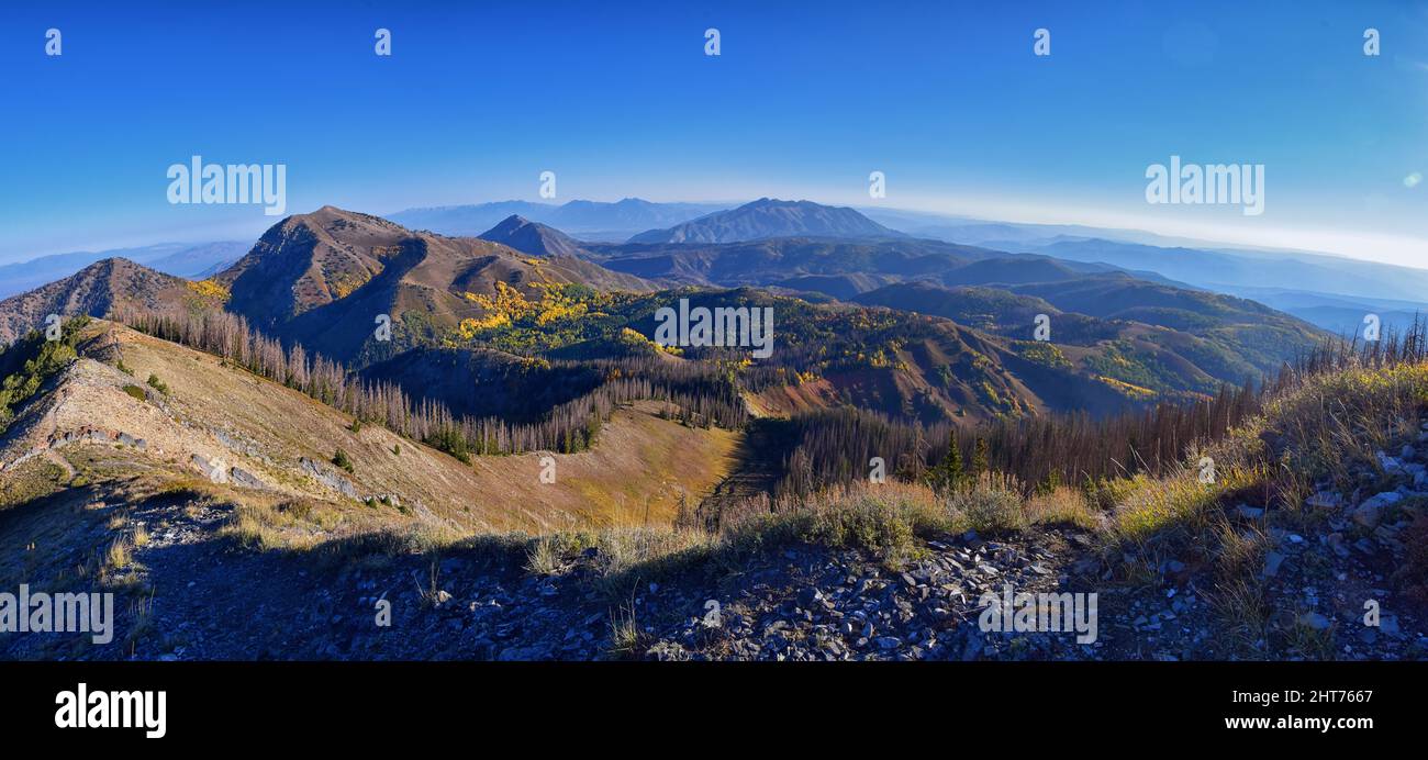 Mount Nebo Wilderness Peak, Views of hiking trail with peak of 11,933 ...