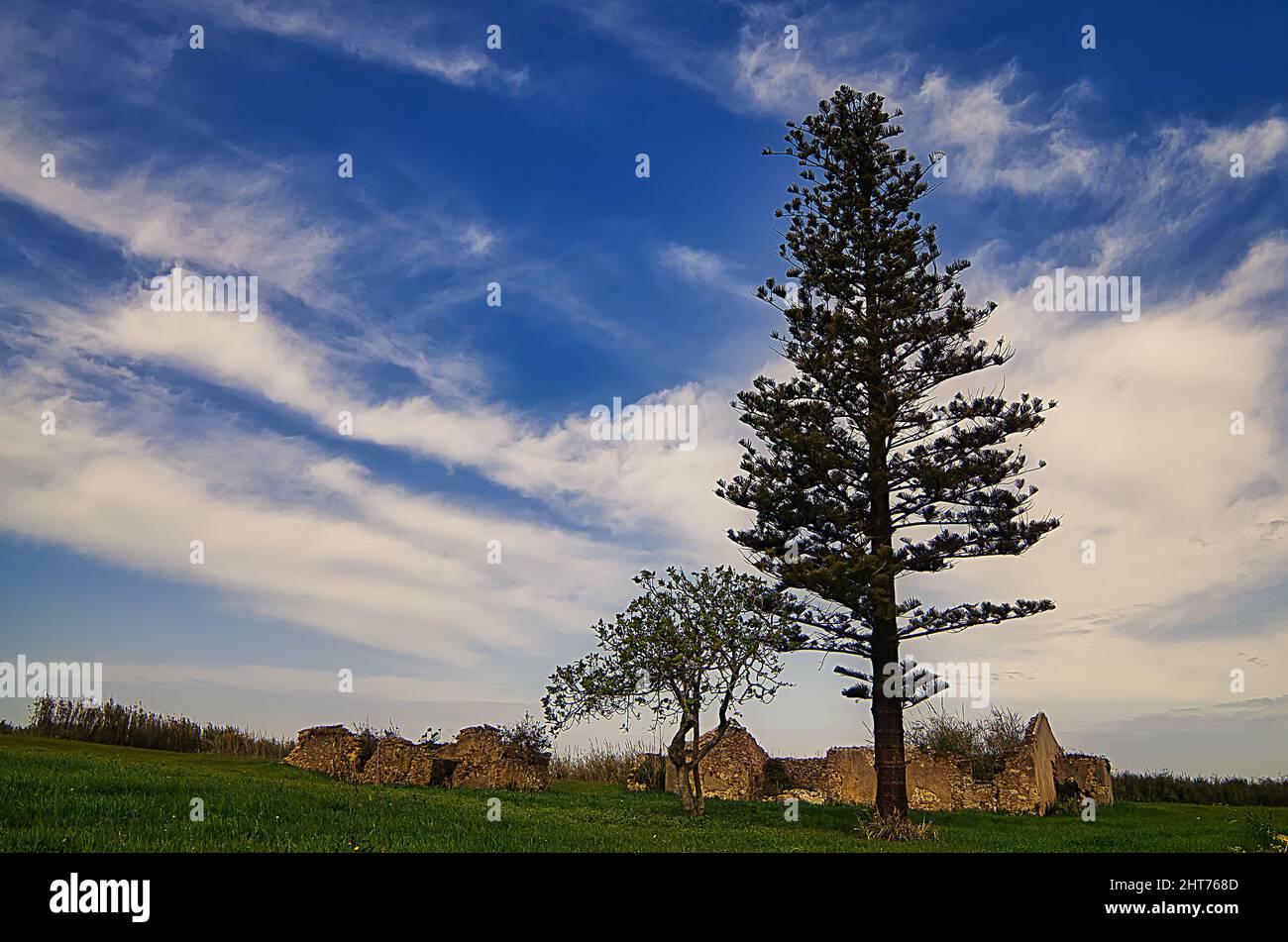 Rural landscape in broad daylight with cloudy blue sky Stock Photo - Alamy