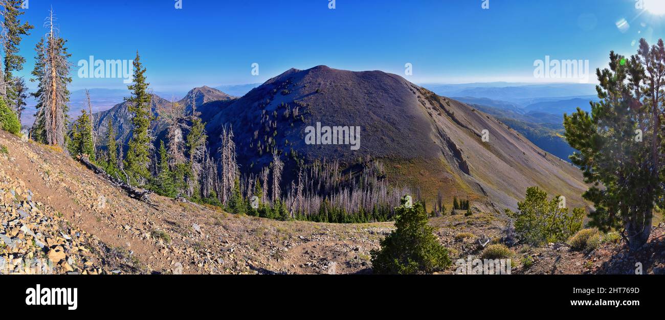 Mount Nebo Wilderness Peak, Views of hiking trail with peak of 11,933 ...