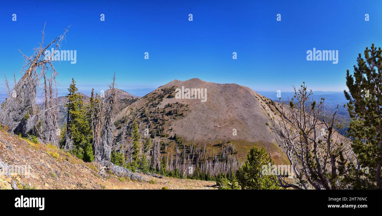 Mount Nebo Wilderness Peak, Views of hiking trail with peak of 11,933 ...