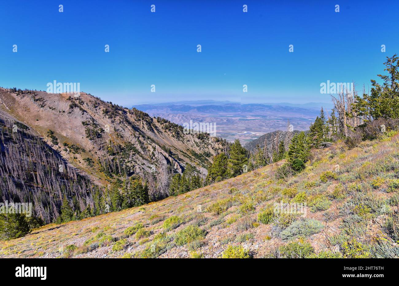 Mount Nebo Wilderness Peak, Views of hiking trail with peak of 11,933 ...