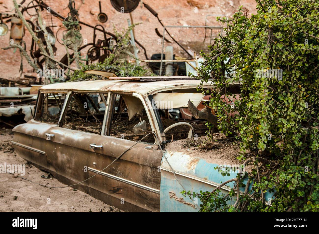 Old car frame with plants growing around it in the desert of Coober ...
