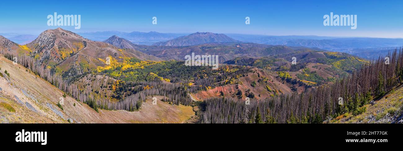 Mount Nebo Wilderness Peak, Views of hiking trail with peak of 11,933 ...