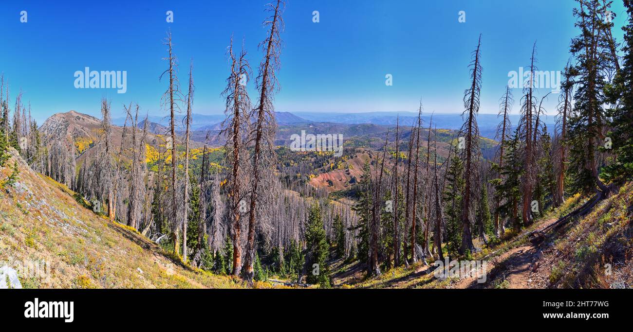 Mount Nebo Wilderness Peak, Views of hiking trail with peak of 11,933 ...