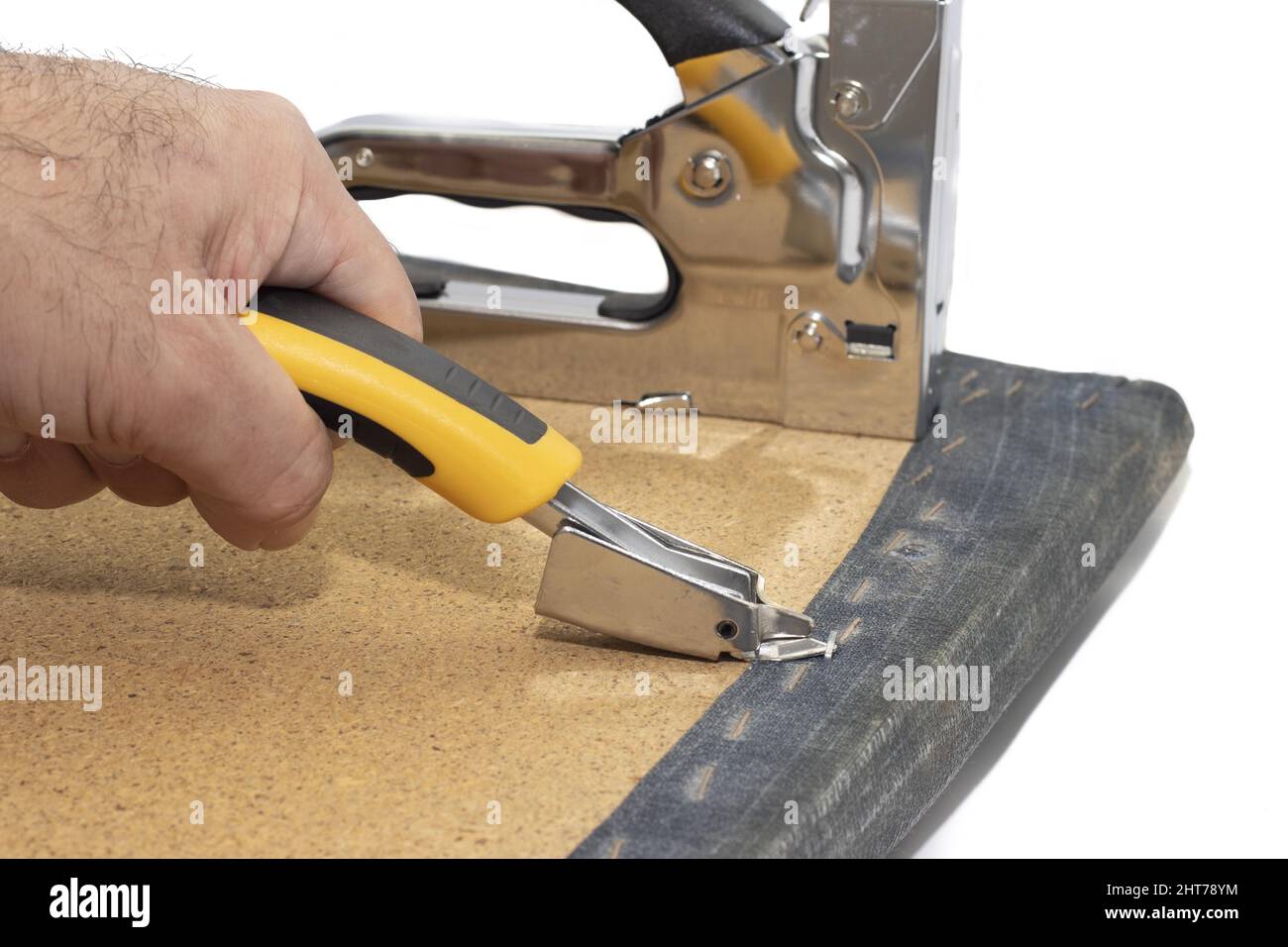 Closeup of a man's hand with a staple remover Stock Photo - Alamy