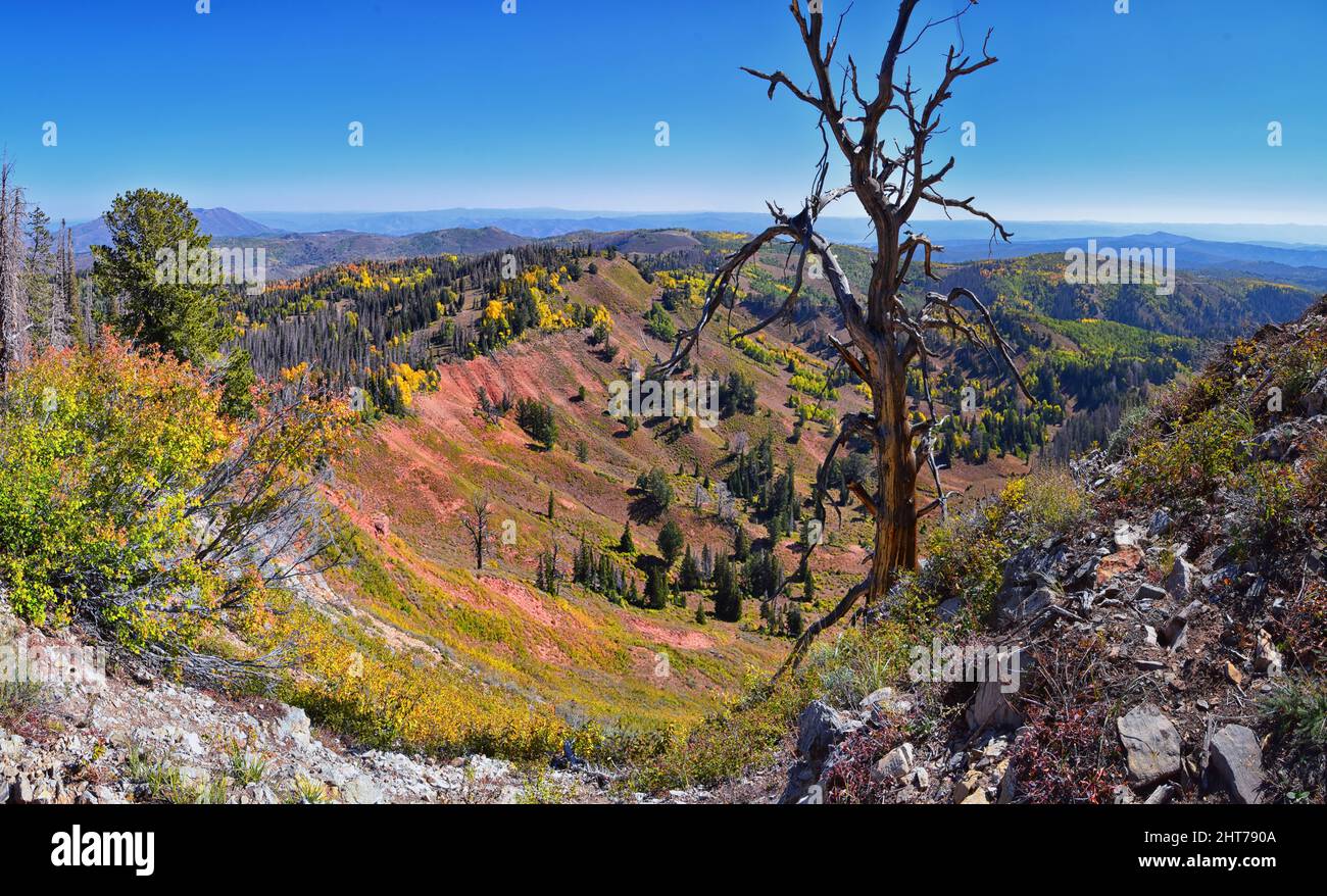 Mount Nebo Wilderness Peak, Views of hiking trail with peak of 11,933 ...