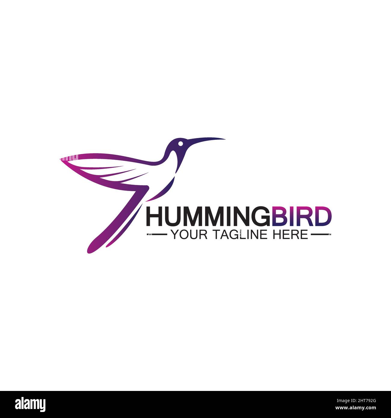 Hummingbird logo design vector template Stock Vector Image & Art - Alamy