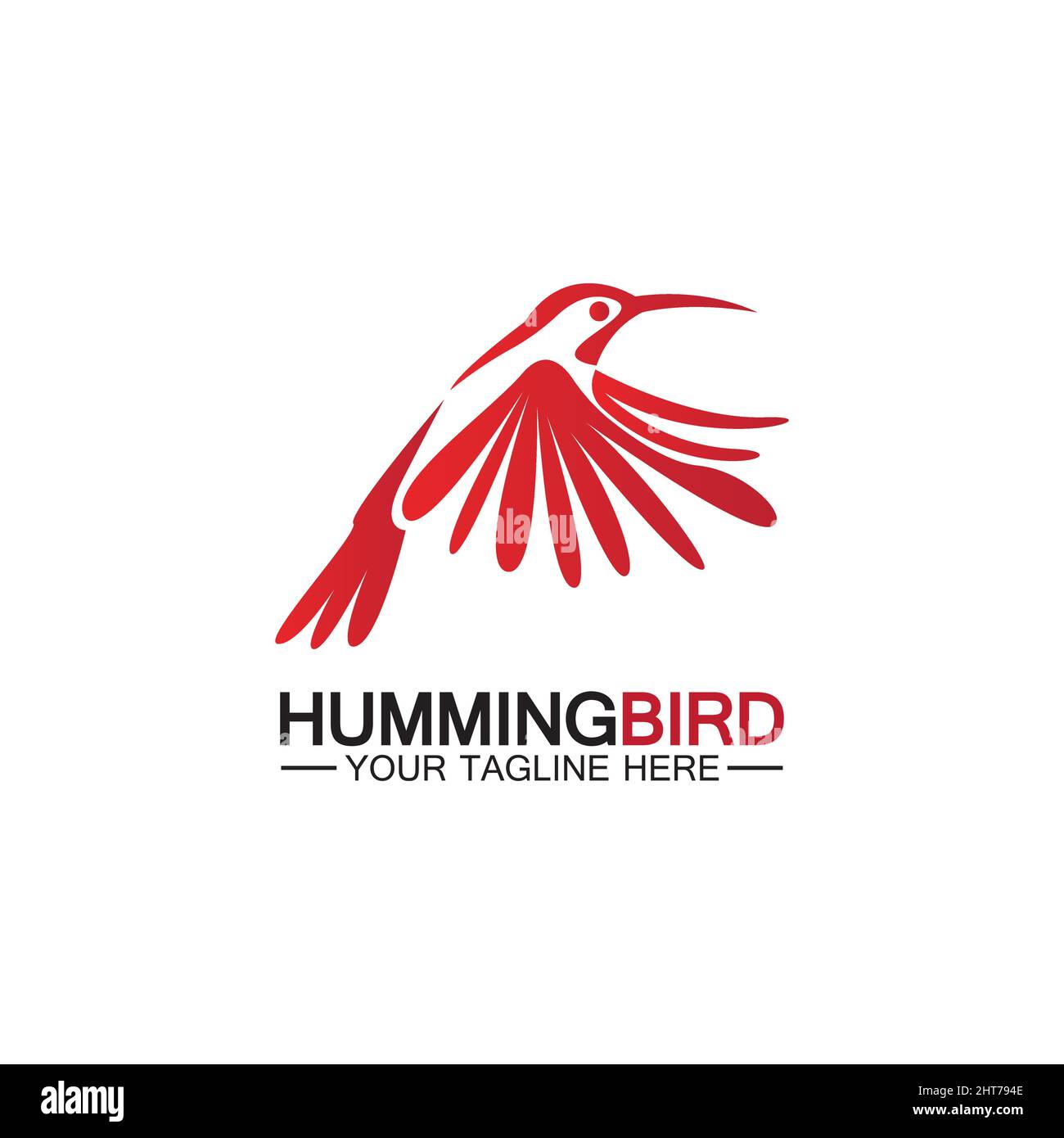 Hummingbird logo design vector template Stock Vector Image & Art - Alamy