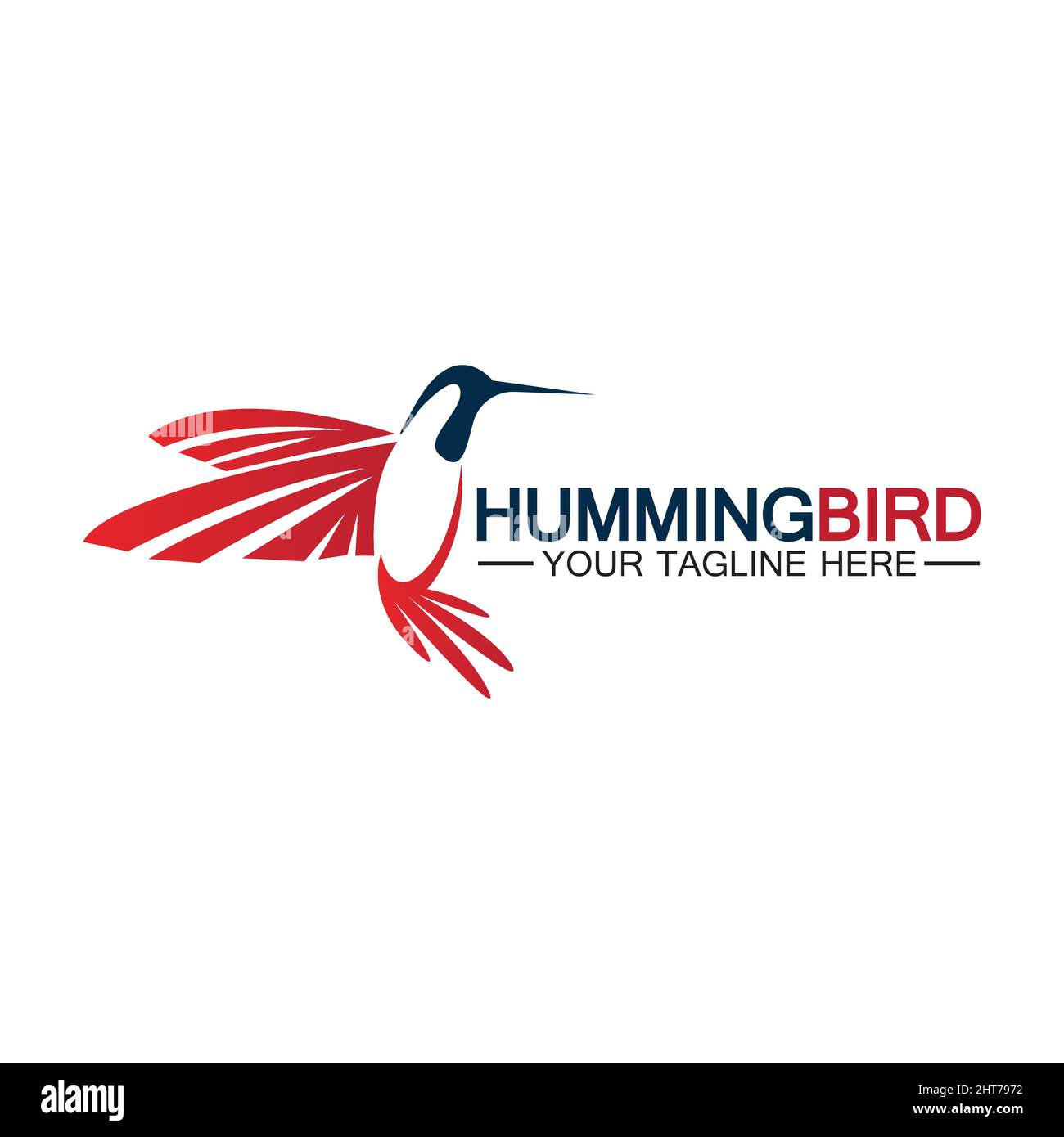 Hummingbird logo design vector template Stock Vector Image & Art - Alamy