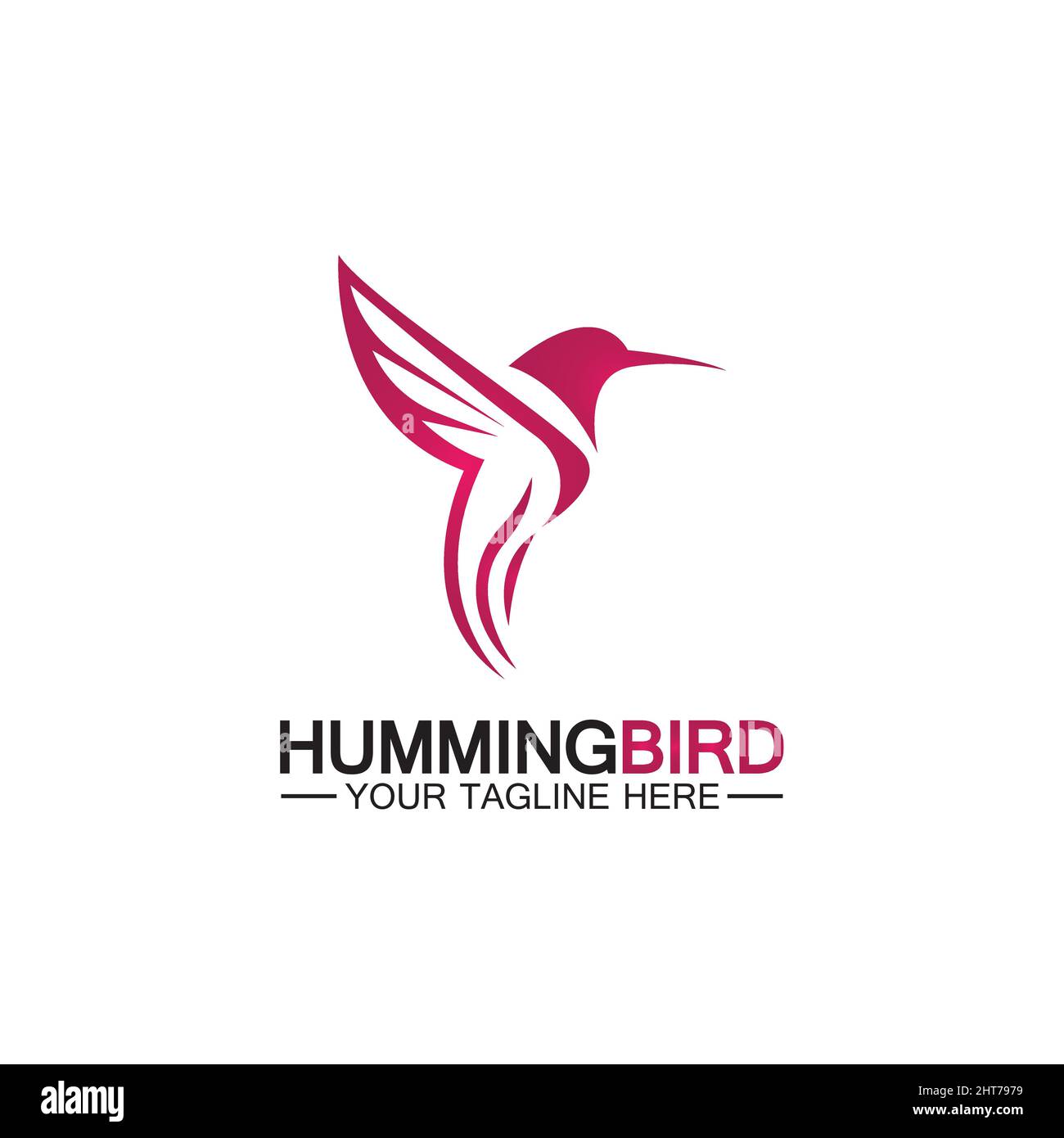 Hummingbirds Logo Love Hummingbird Logo