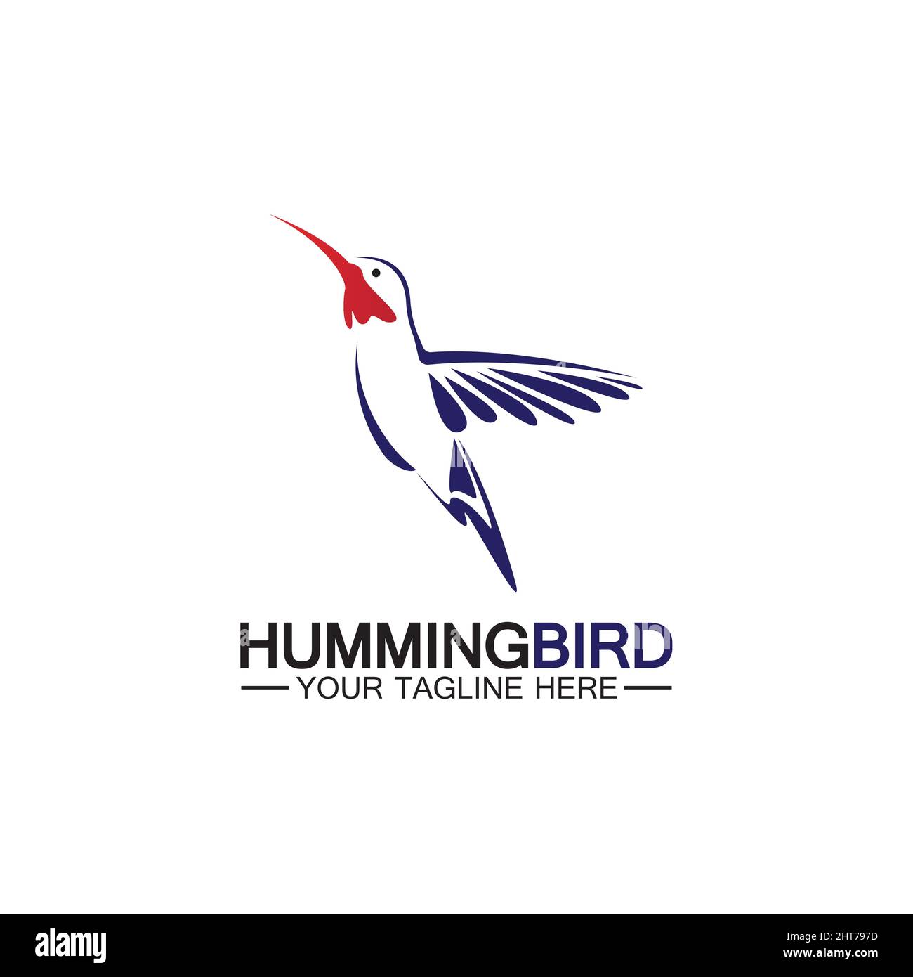 Hummingbird logo design vector template Stock Vector Image & Art - Alamy