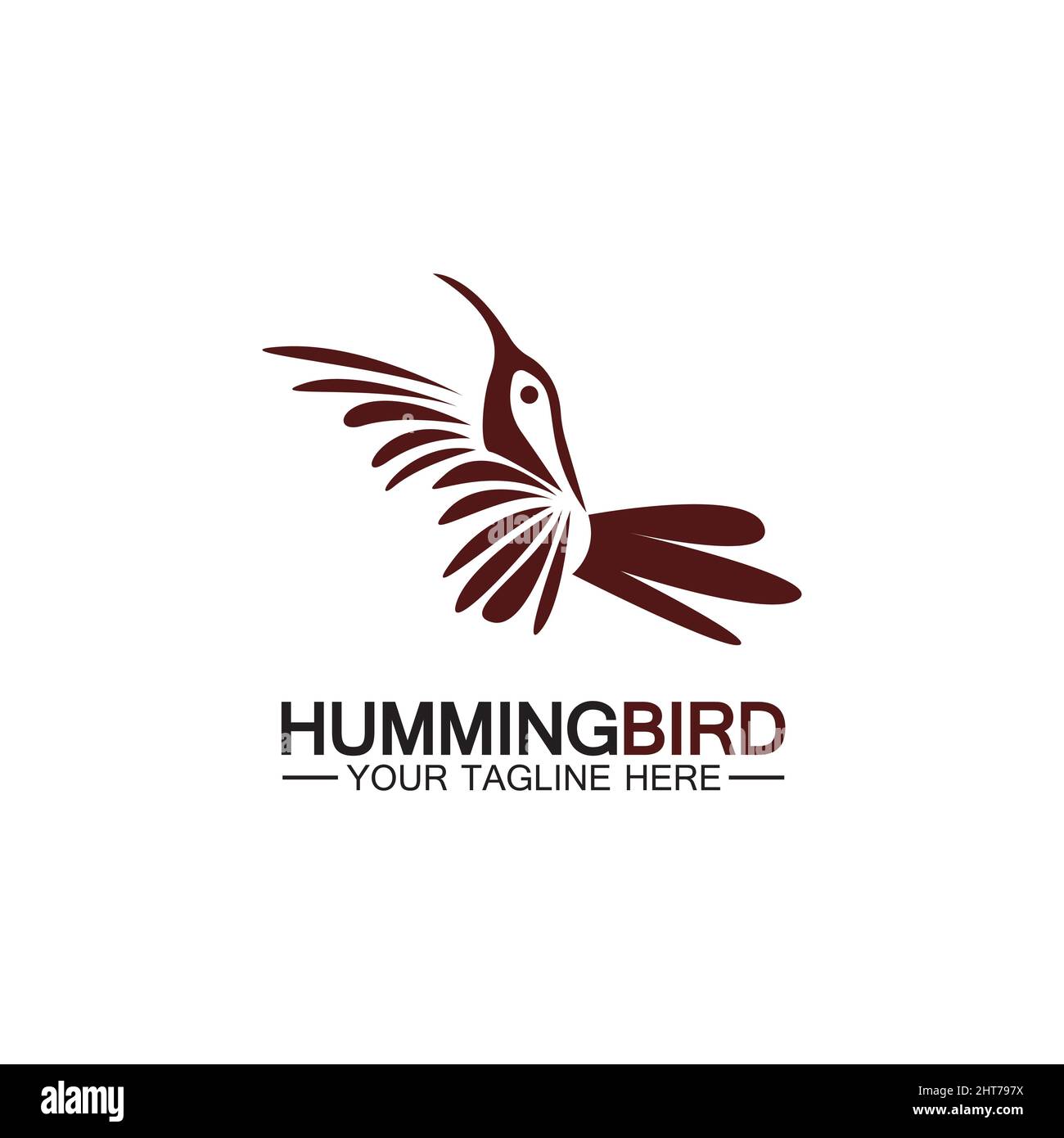 Hummingbird logo design vector template Stock Vector Image & Art - Alamy