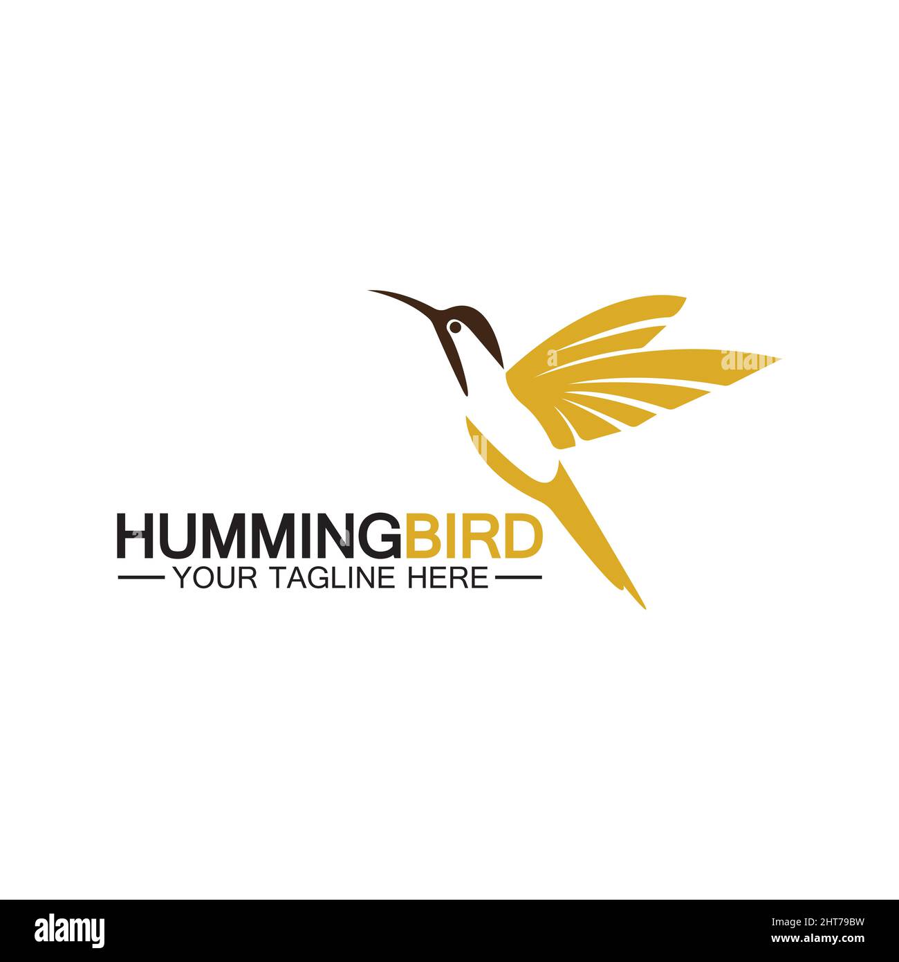 Hummingbird logo design vector template Stock Vector Image & Art - Alamy