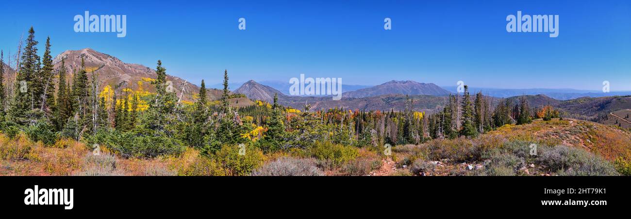 Mount Nebo Wilderness Peak, Views of hiking trail with peak of 11,933 ...