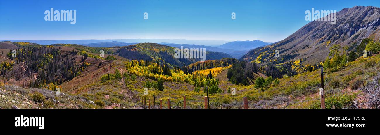 Mount Nebo Wilderness Peak, Views of hiking trail with peak of 11,933 ...