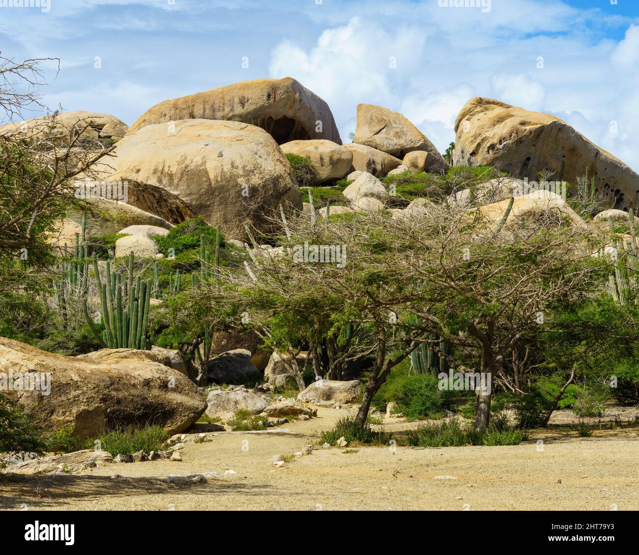 Desert stone texture hi-res stock photography and images - Alamy