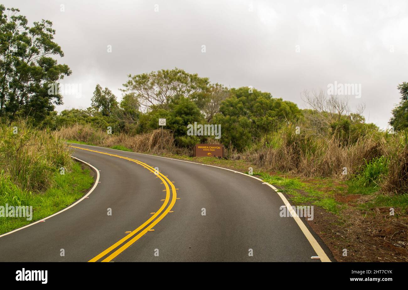 A winding paved road leading deeper into the rainforest on Kauai Stock ...