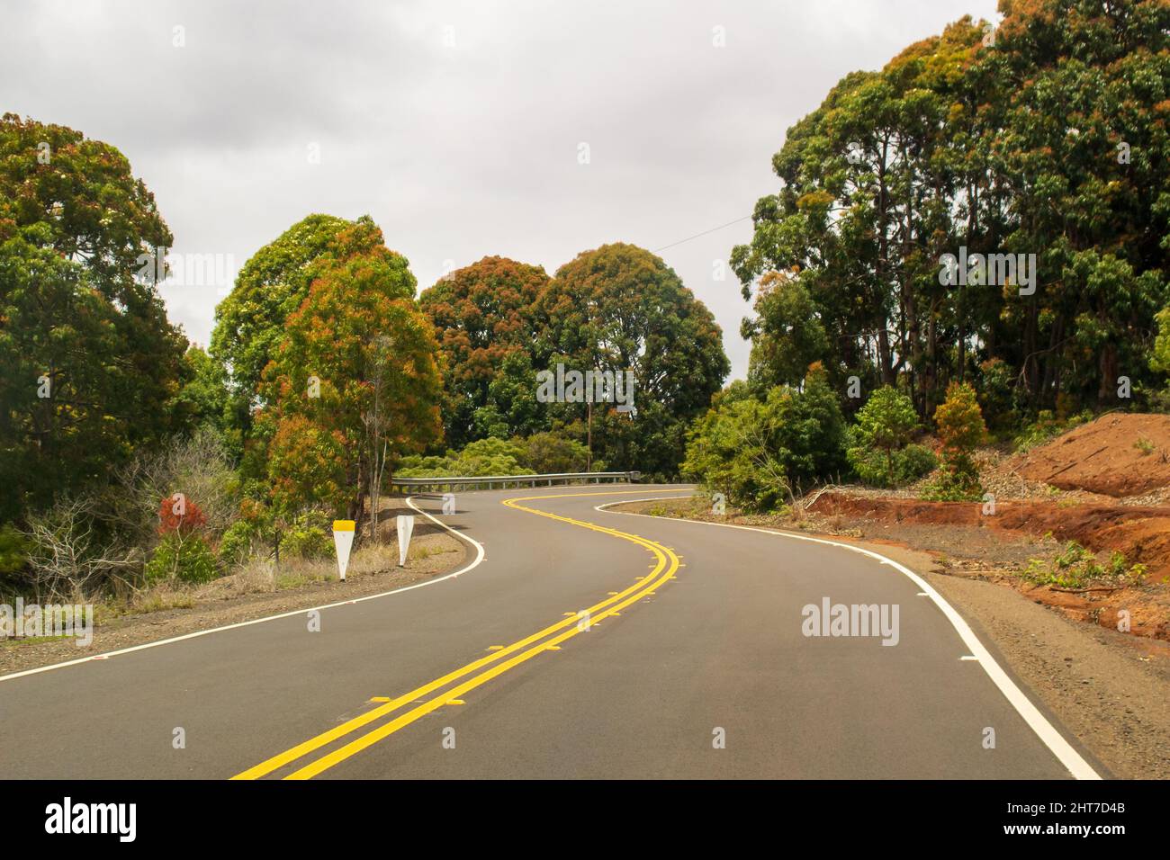 A winding paved road leading deeper into the rainforest on Kauai Stock ...