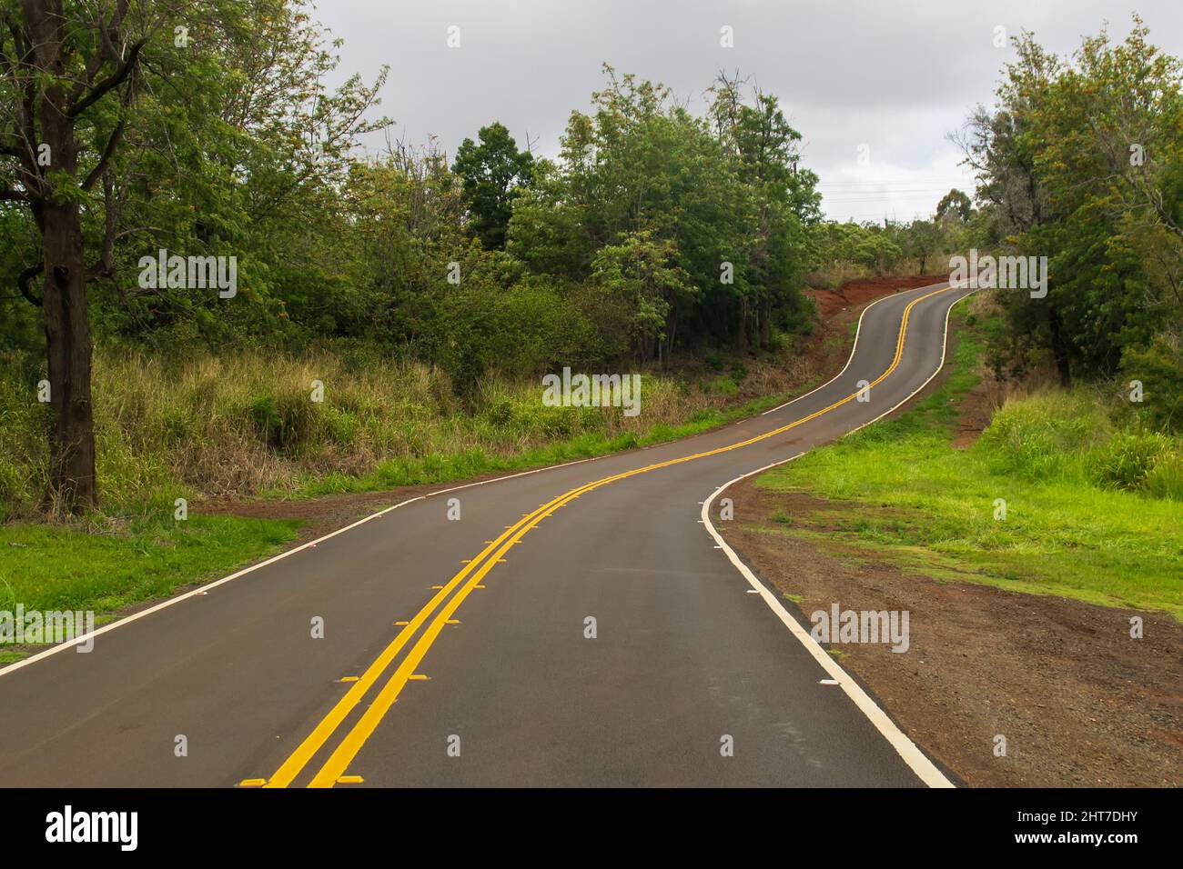 A winding paved road leading deeper into the rainforest on Kauai Stock ...