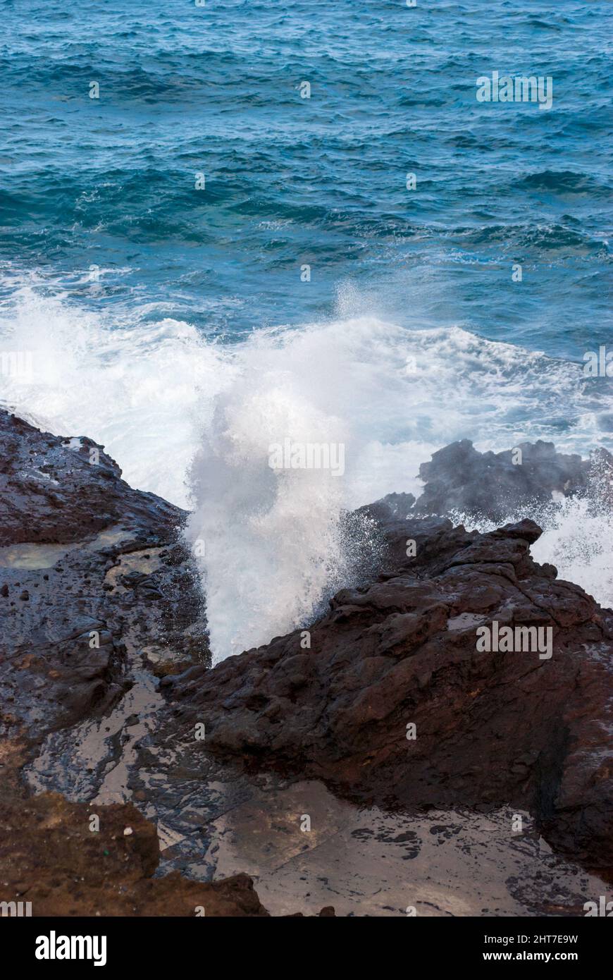 Water sprays out of a blowhole on Oahu coast Stock Photo - Alamy