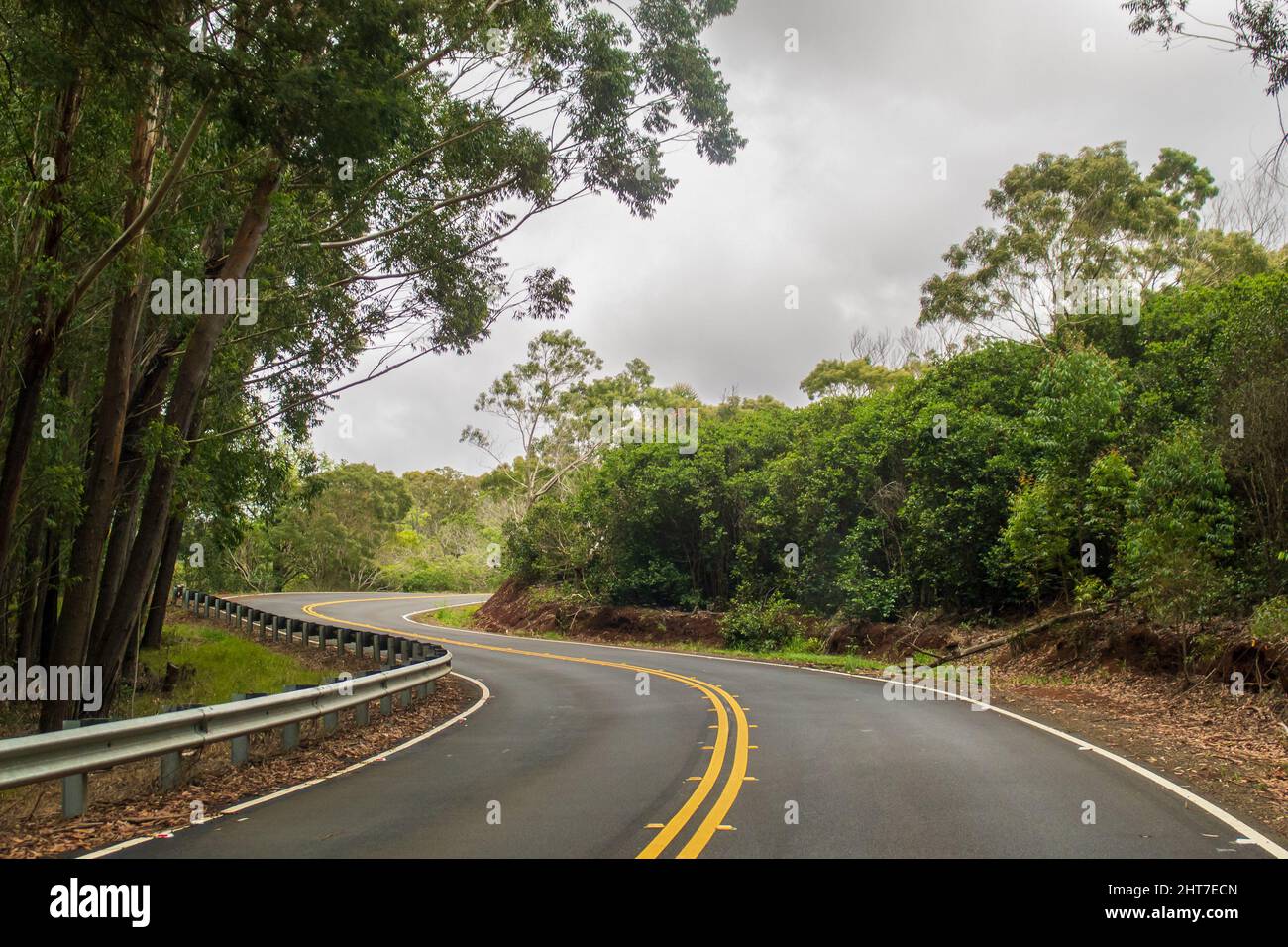 A winding paved road leading deeper into the rainforest on Kauai Stock ...