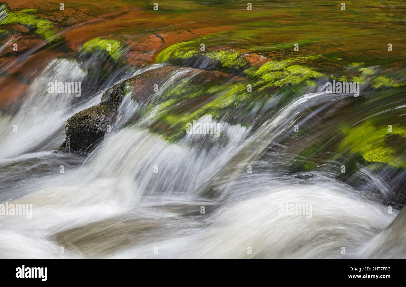 Site of special scienfic importance hi-res stock photography and images ...