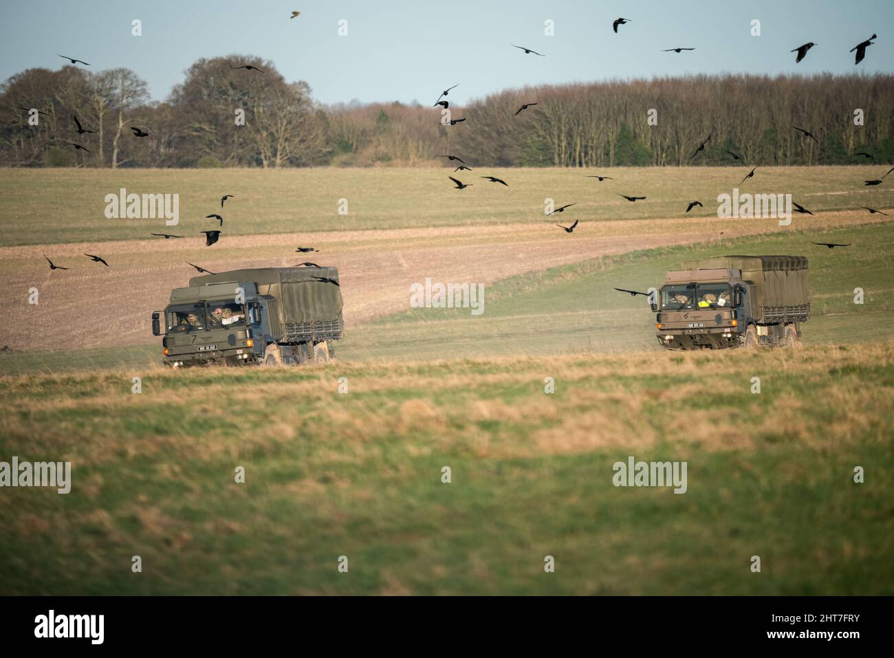British army MAN SV 4x4 Utility Trucks 4x4 vehicles in action on a ...
