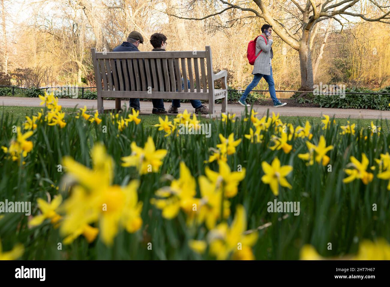 As the temperature rises in London stepping into Spring, Daffodils ...
