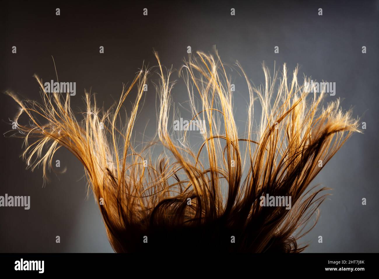 Abstract windy hair texture. Backlit silhouette on dark background ...