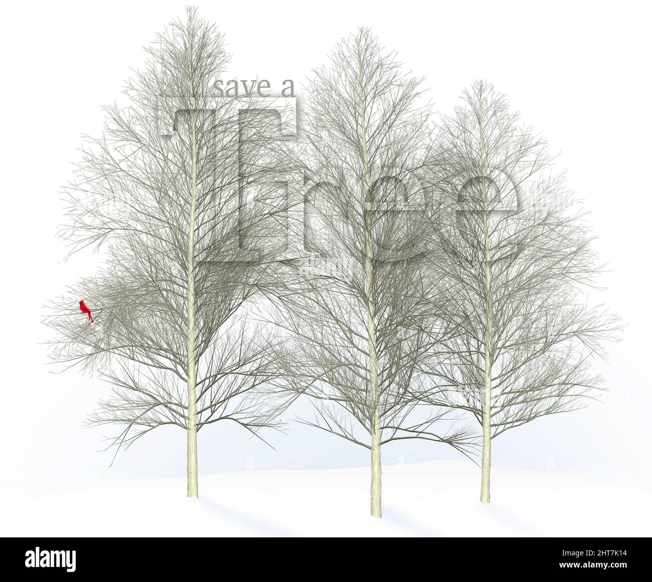 Save a tree is the theme of this image that shows beautiful aspen trees ...