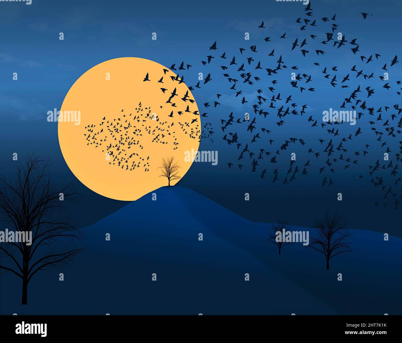 Robin in flight illustration hi-res stock photography and images - Alamy