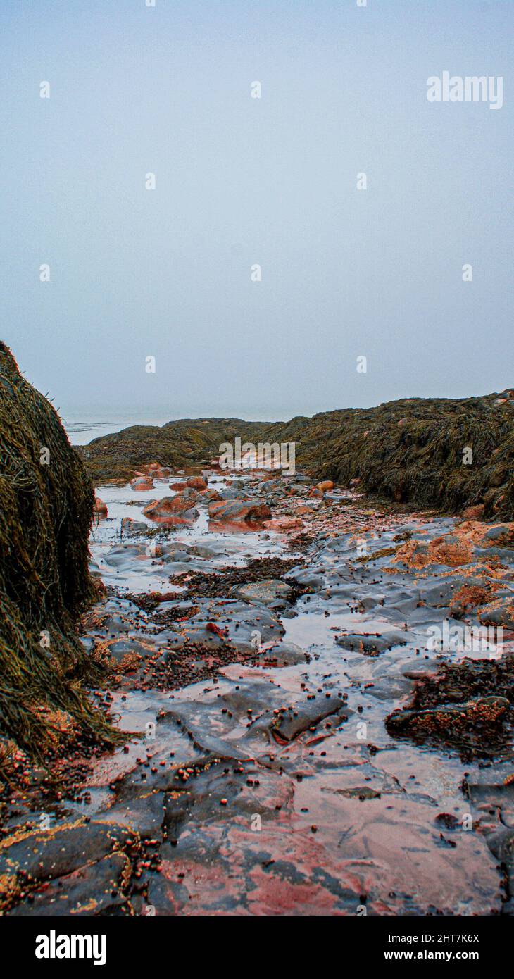 Vertical shot of the Port George in Nova Scotia, Canada Stock Photo - Alamy