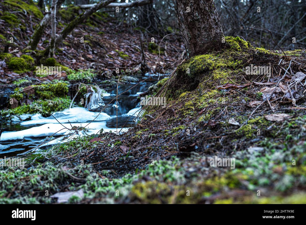 Hobson lake trail hi-res stock photography and images - Alamy