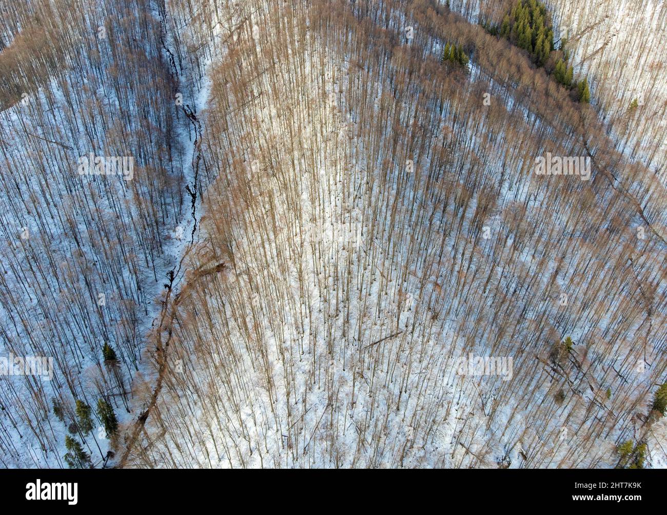 Aerial view of hills and valleys in winter Stock Photo - Alamy