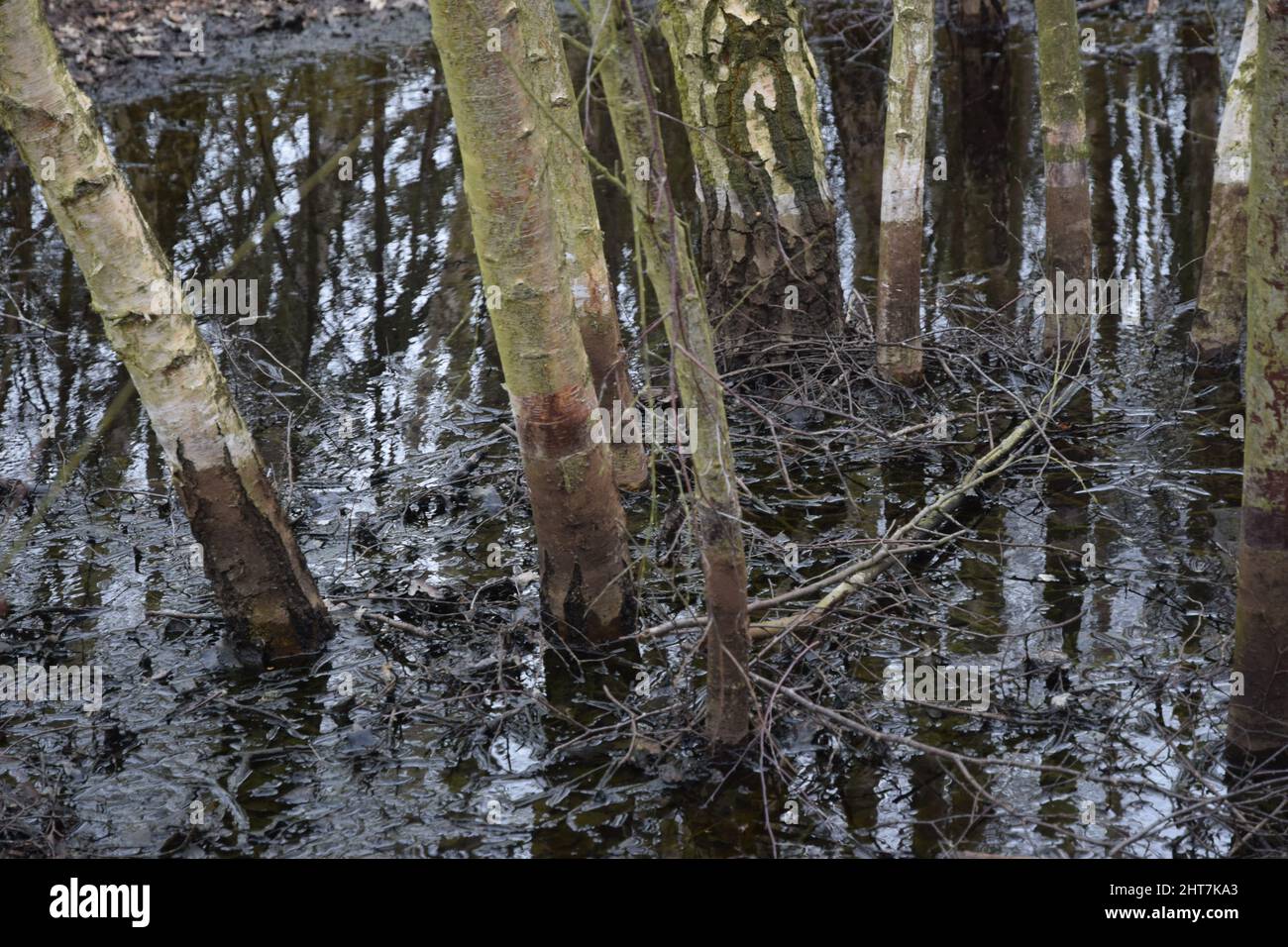 Suffolk flooding hi-res stock photography and images - Alamy