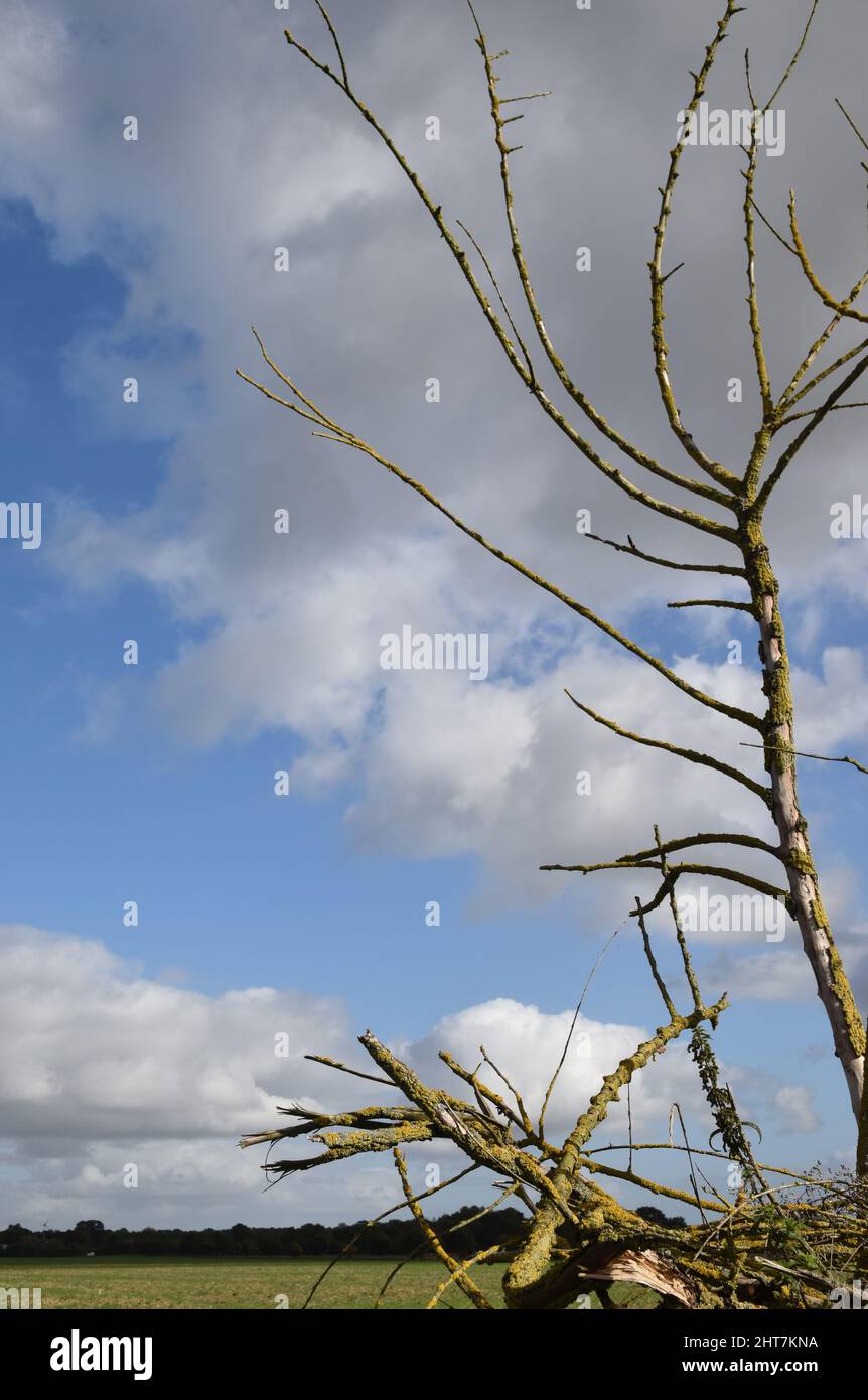 Commonland hi-res stock photography and images - Alamy