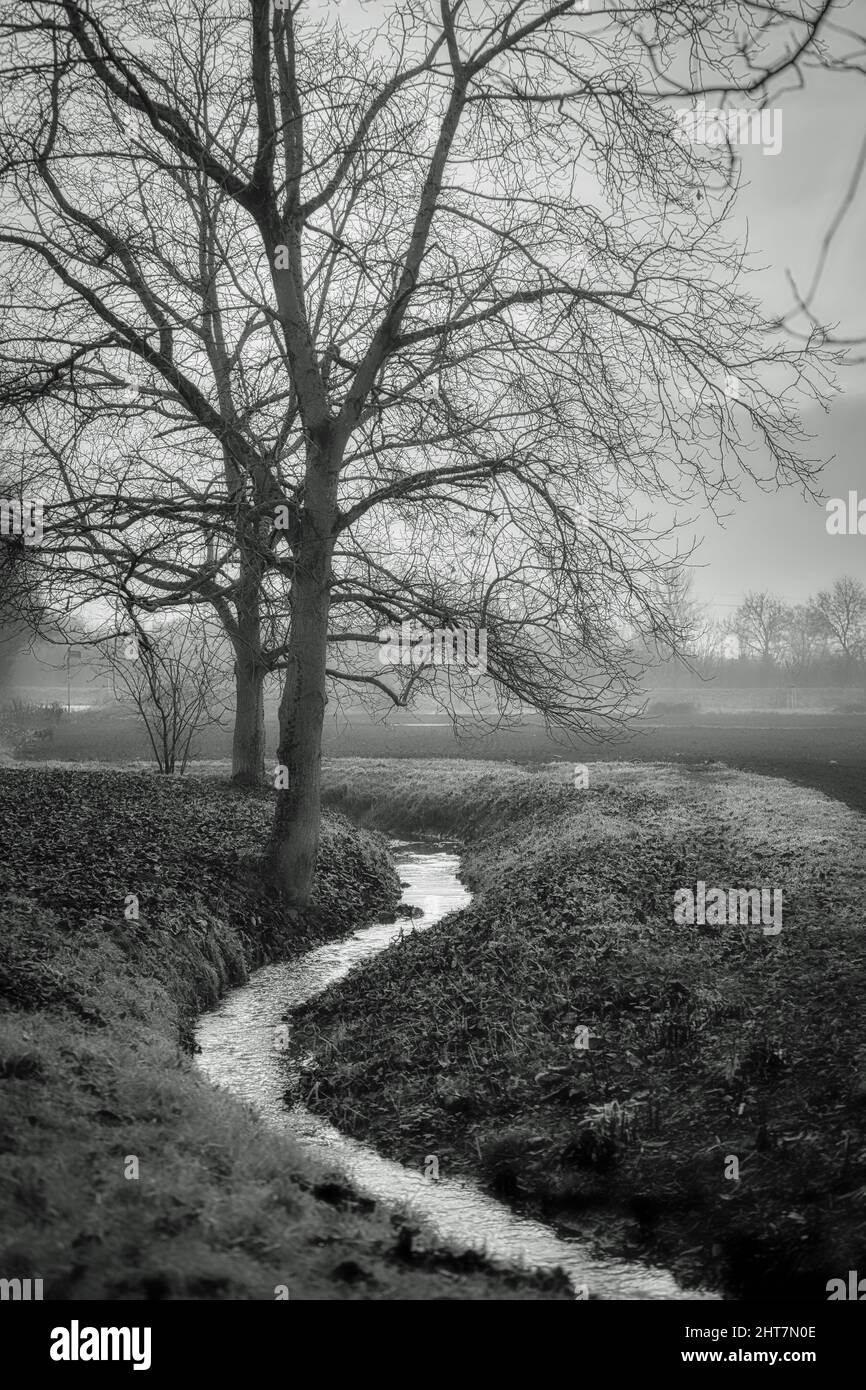 Vertical grayscale shot of a flowing stream through a mysterious field ...