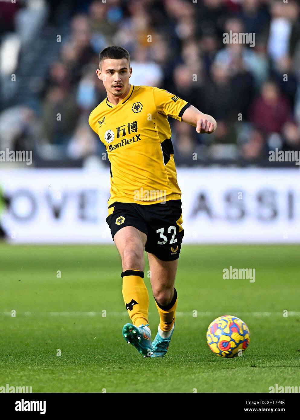 Leander dendoncker wolves hi-res stock photography and images - Alamy