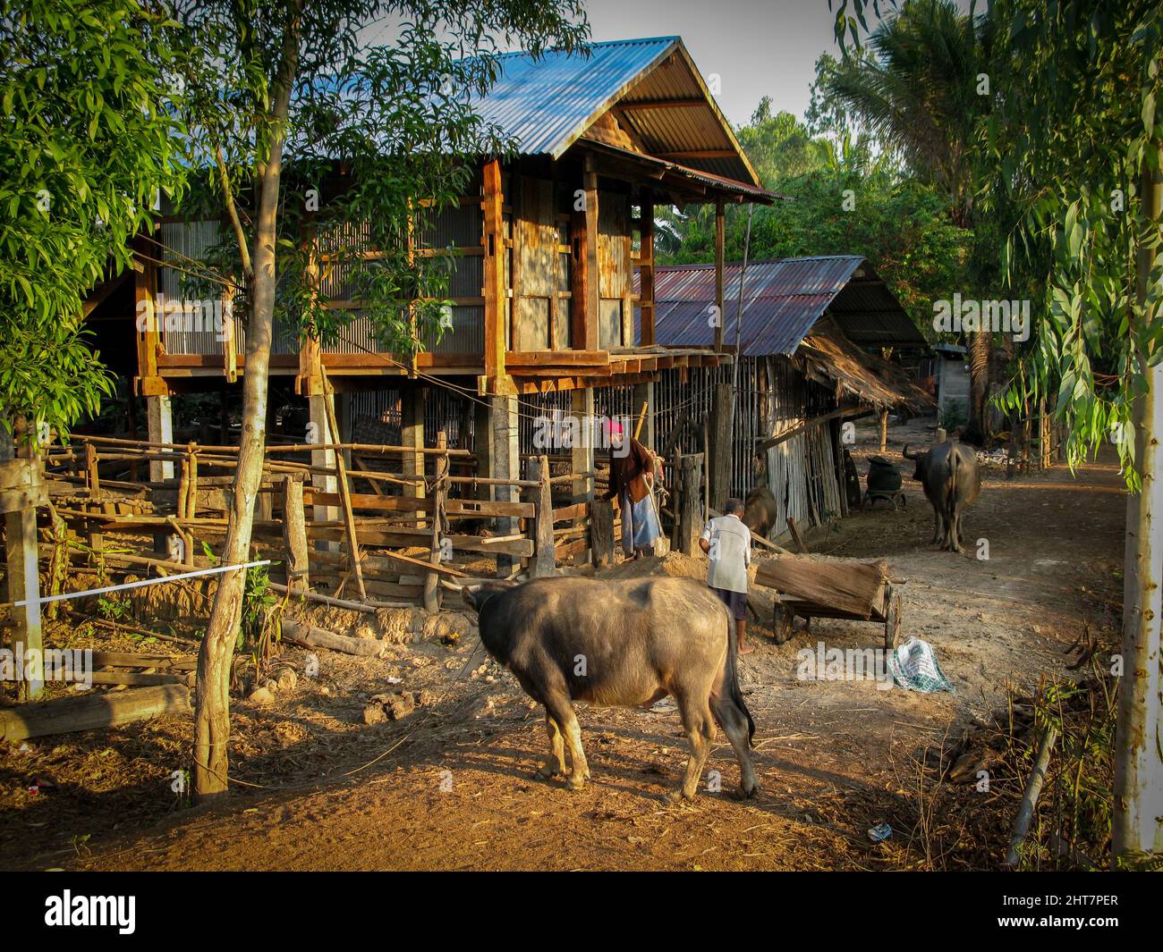Poor houses rural thailand hi-res stock photography and images - Alamy