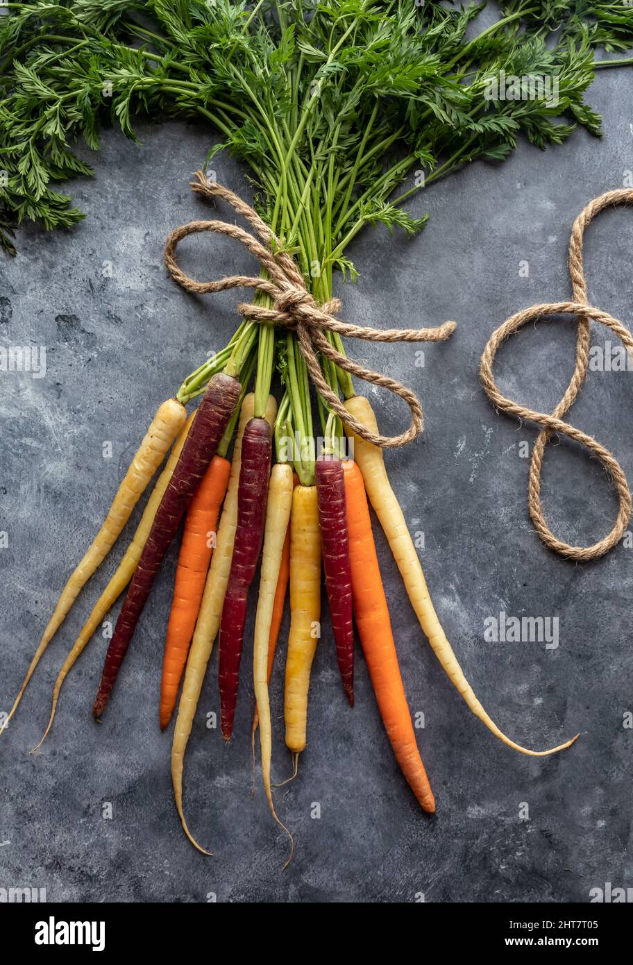 Top down view of a bunch of rainbow carrots bound together with rope ...
