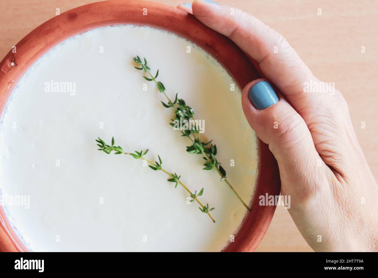 Fresh organic homemade yogurt and fresh mint. Traditional yogurt ...